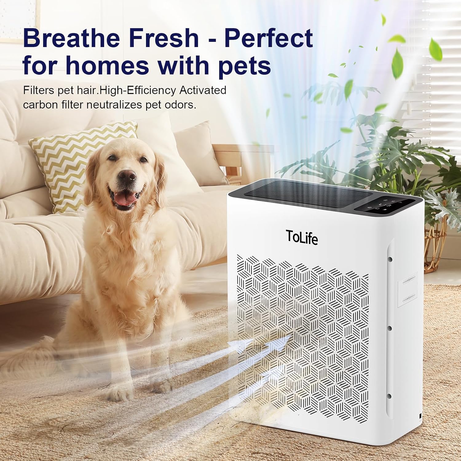 ToLife Air Purifiers & Dehumidifiers | Premium ToLife Website