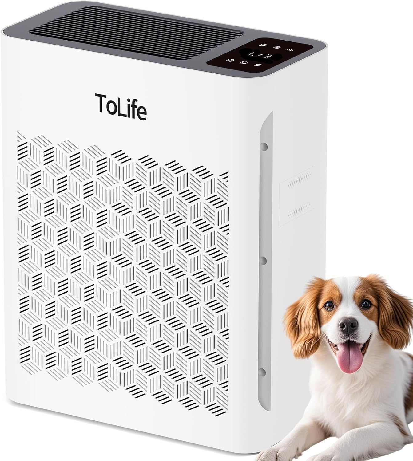 ToLife Air Purifiers & Dehumidifiers | Premium ToLife Website